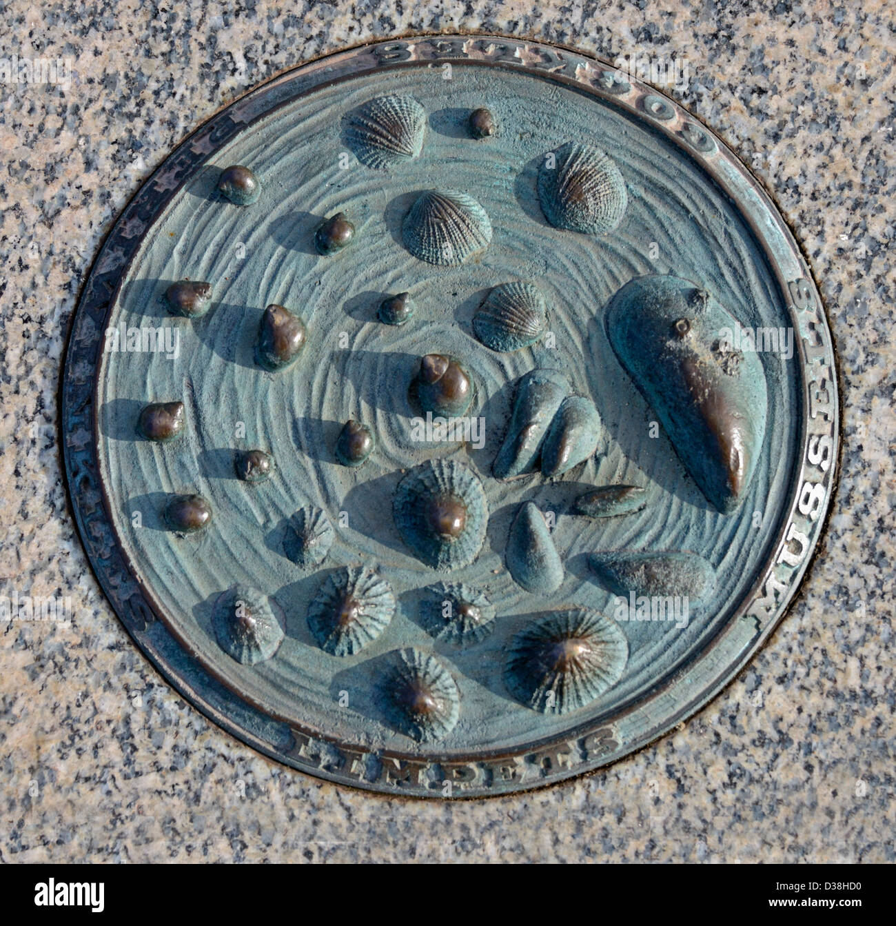 'The Food Chain', Limpets, Mussels, Cockles, Periwinkles. Outdoor ...