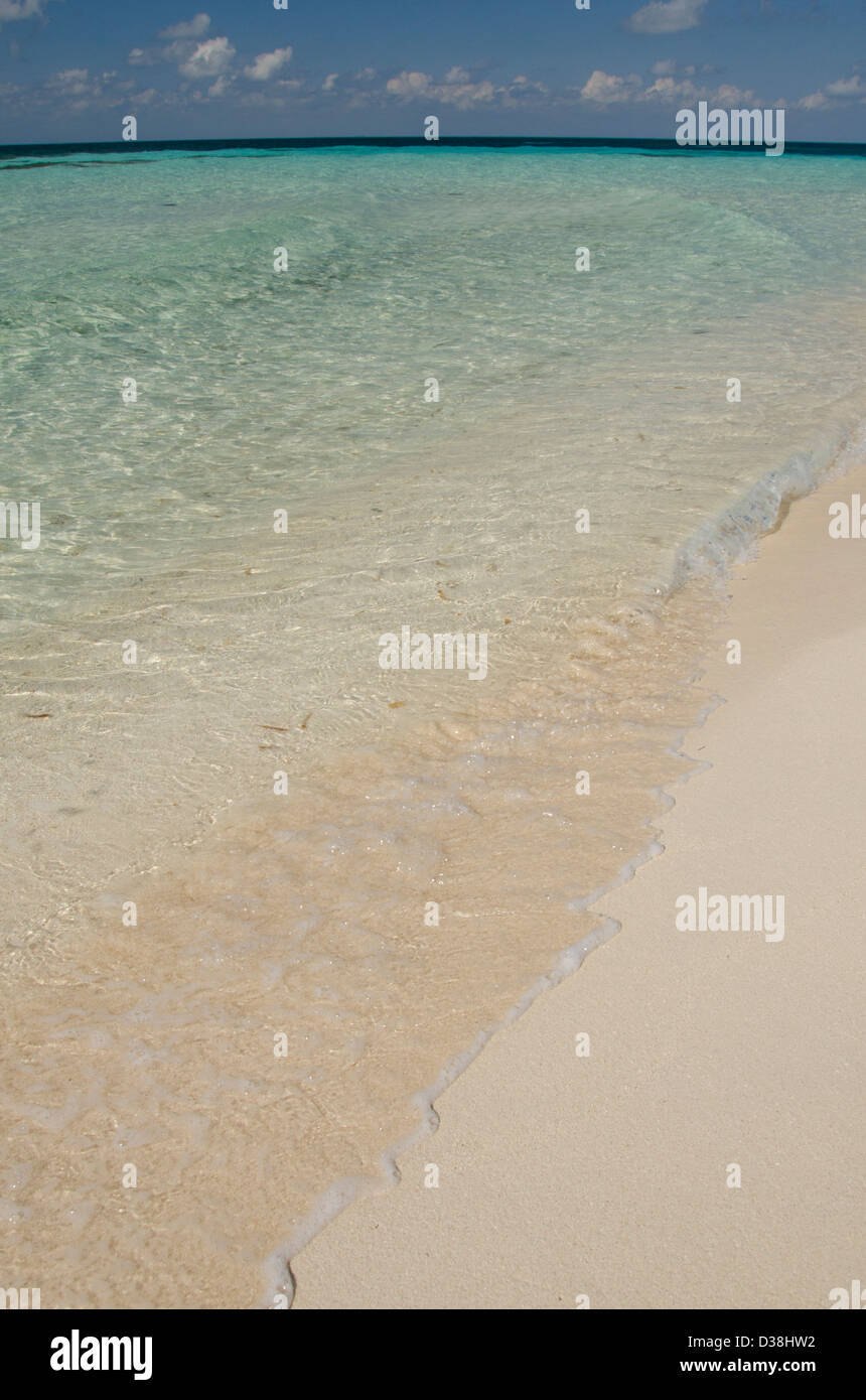 Belize, Caribbean Sea. Goff Caye, a small island off the shore of ...