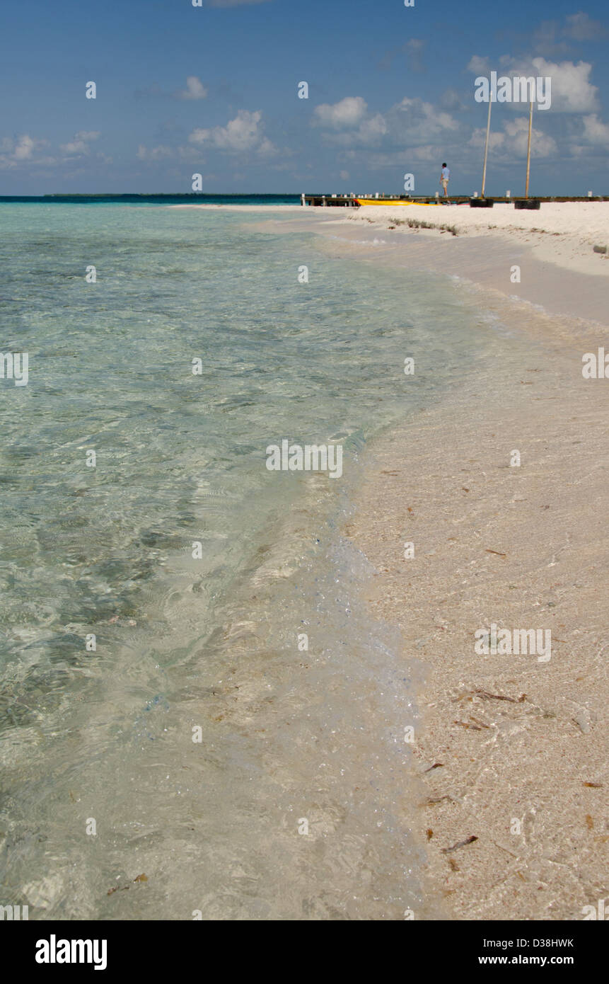 Belize, Caribbean Sea. Goff Caye, a small island off the shore of ...