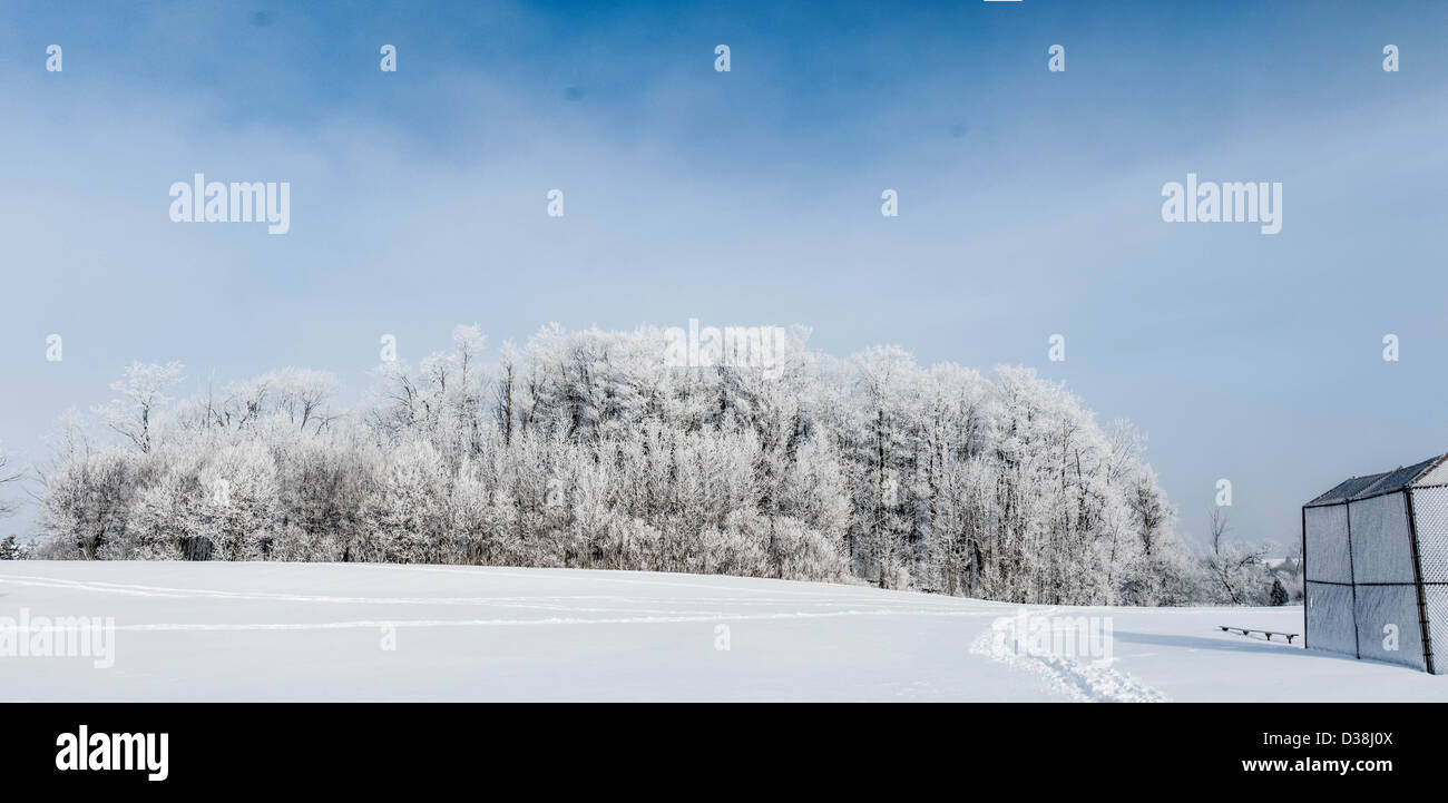 Icy forest hi-res stock photography and images - Alamy