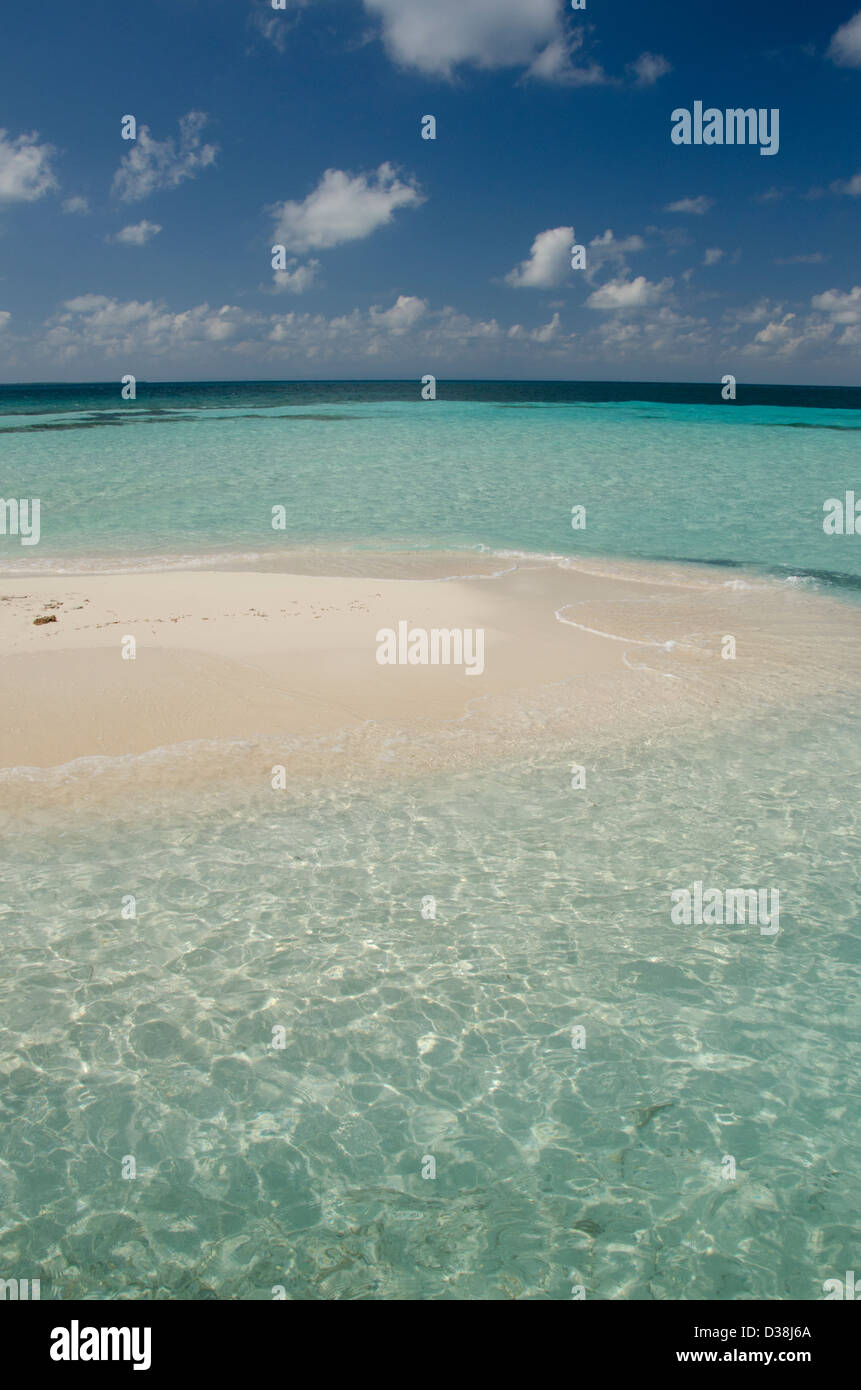 Belize, Caribbean Sea. Goff Caye, a small island off the shore of ...