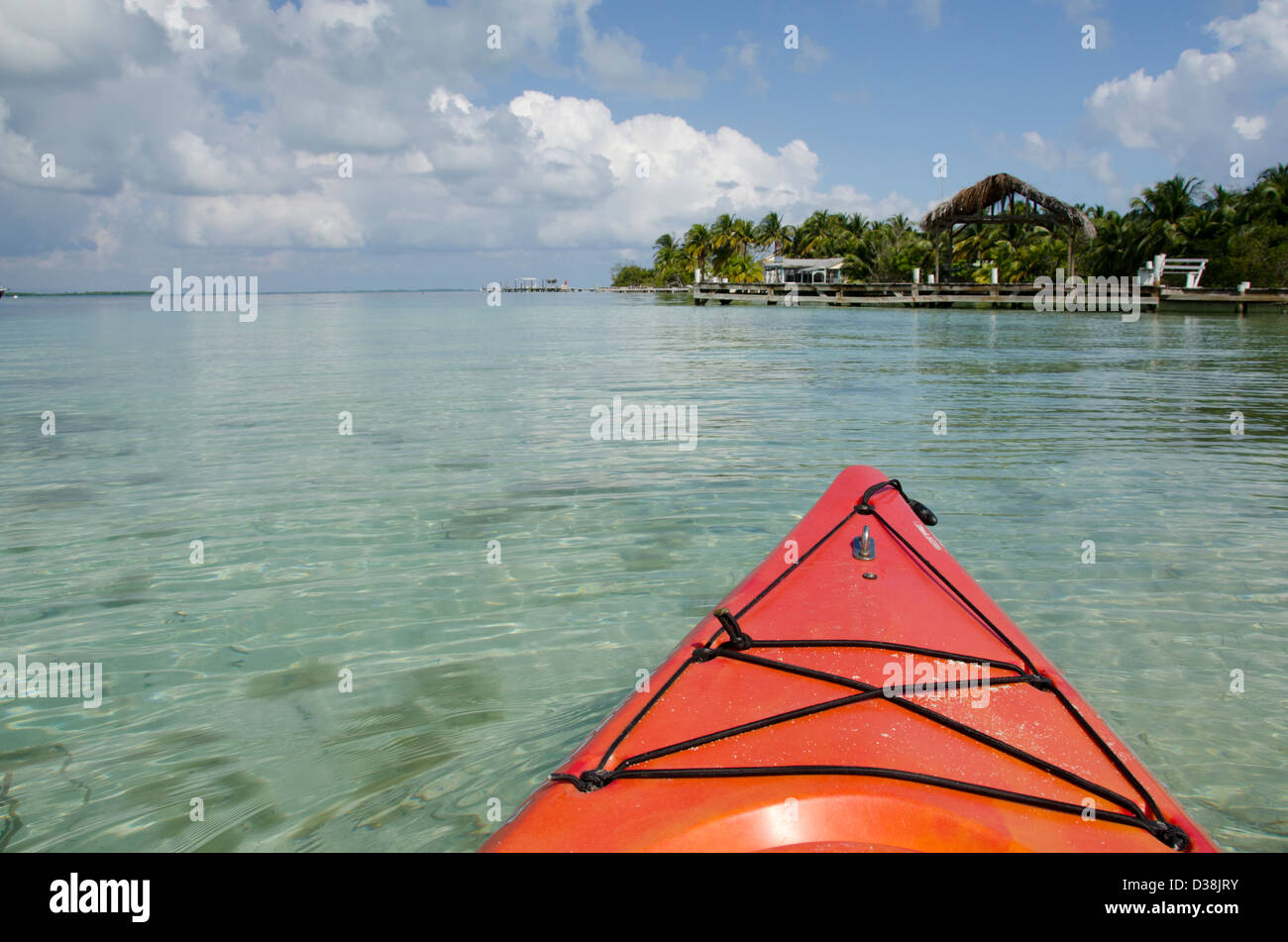 Belize, Caribbean Sea, Southwater Cay. Kayaking in the clear waters off ...