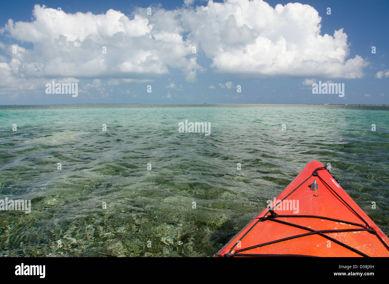 Belize kayak caye hi-res stock photography and images - Alamy