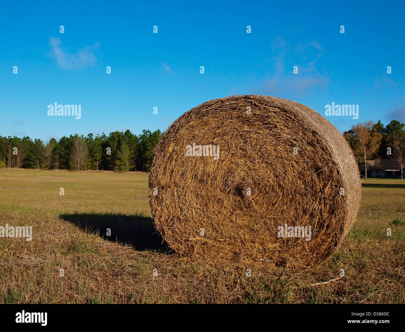 Bundle Of Hay High Resolution Stock Photography and Images - Alamy