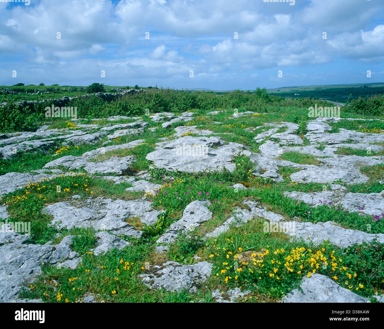 The Burren, County Clare, Ireland Stock Photo - Alamy