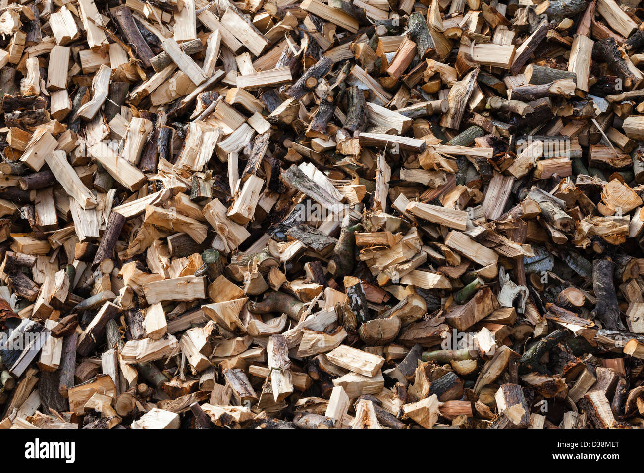 Patterns created on logs chopped in a log pile on Wimbledon Common ...
