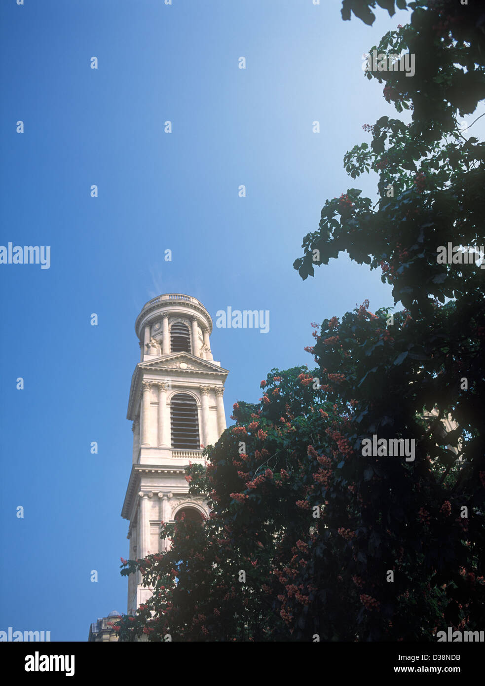 Chestnut tree in paris france hi-res stock photography and images - Alamy