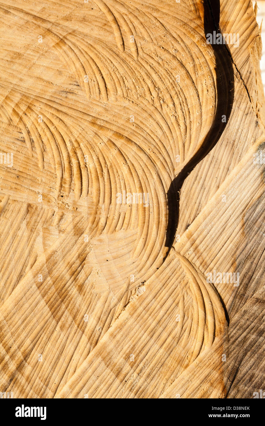 Log patterns hi-res stock photography and images - Alamy