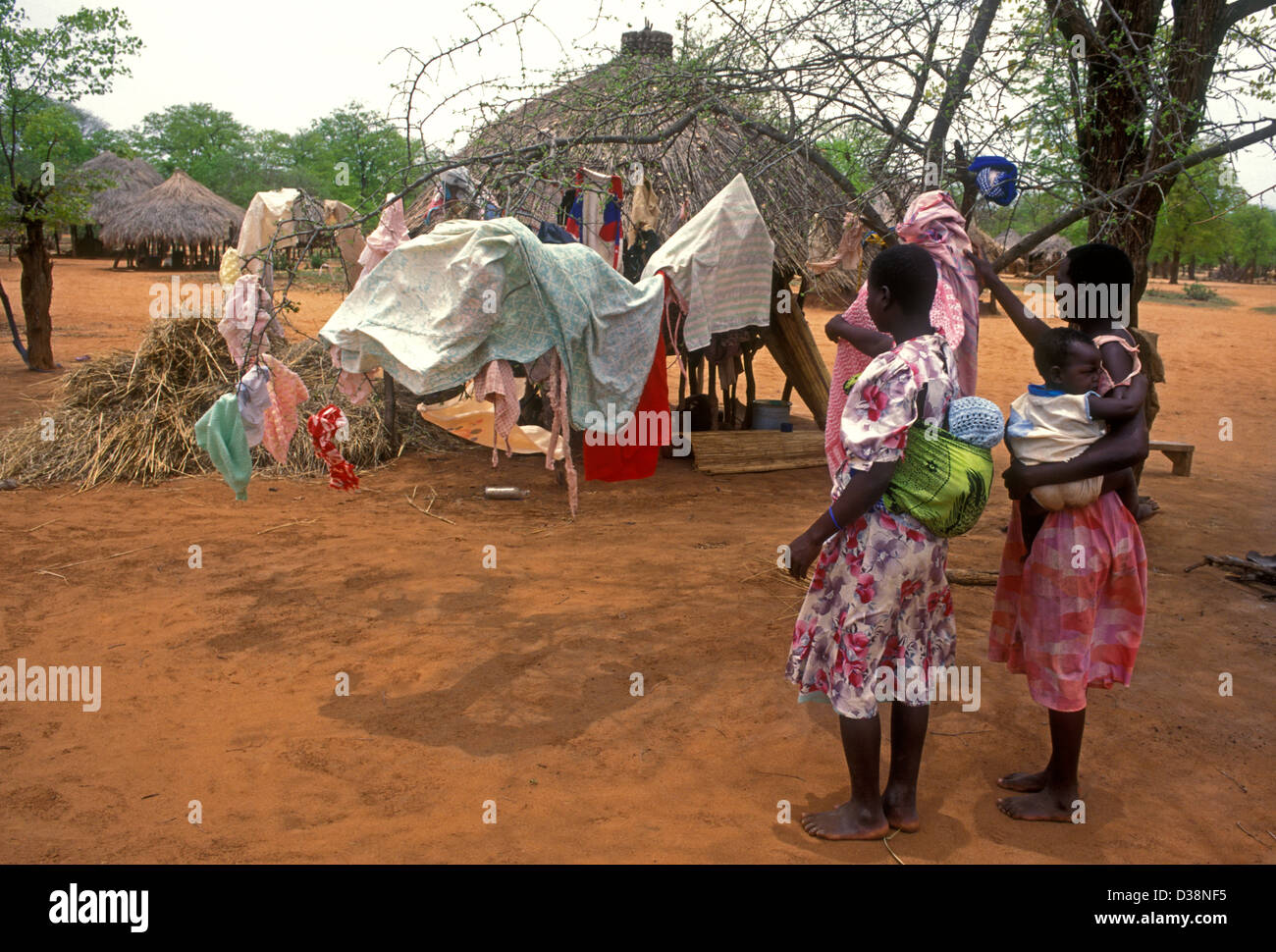 Zimbabweans, women, adult women, washing clothes, drying clothes, doing ...
