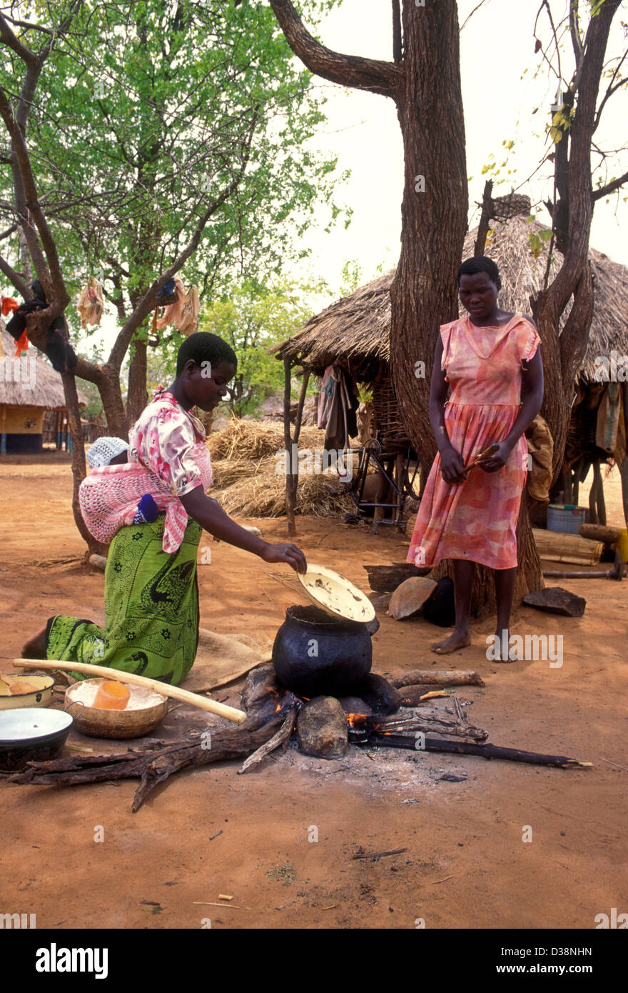 Zimbabwean woman, adult woman, woman, cooking, making sadza, sadza ...