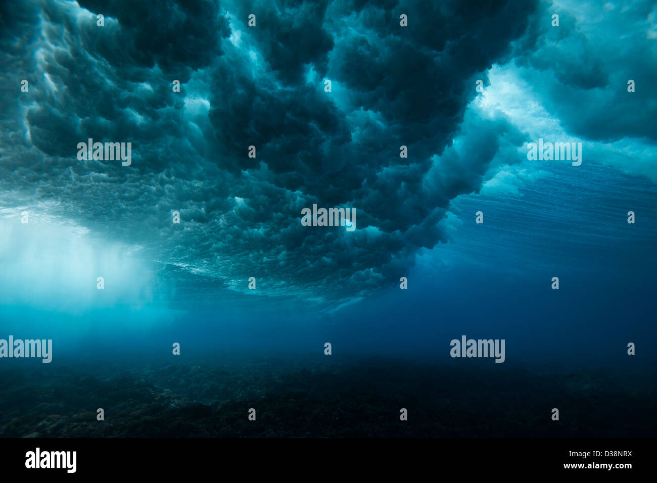 Under wave hi-res stock photography and images - Alamy