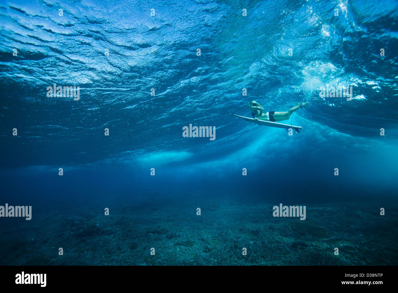 Surfing Underwater View High Resolution Stock Photography and Images ...