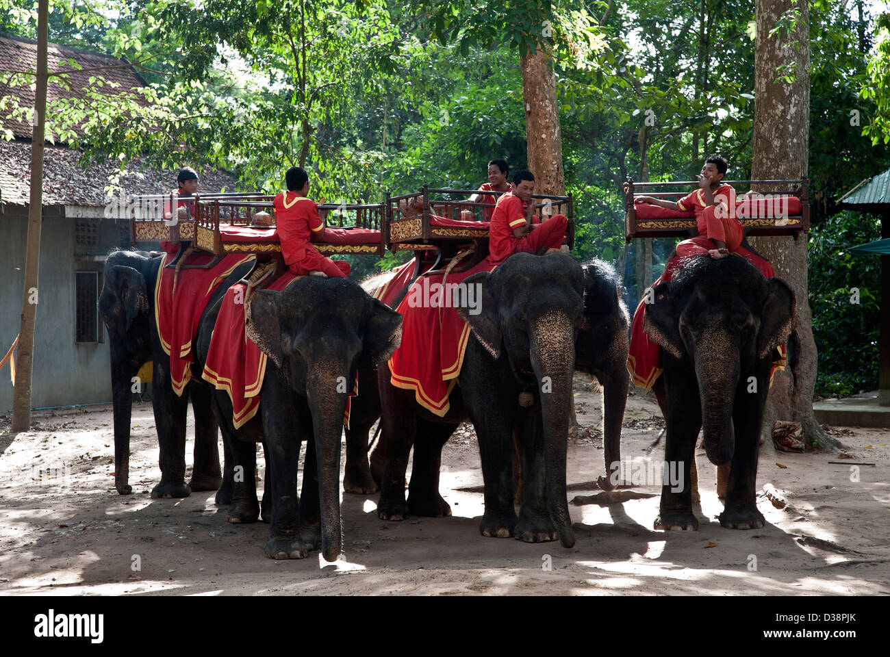Elephants and their mahouts (elephant rider). Angkor. Cambodia Stock ...