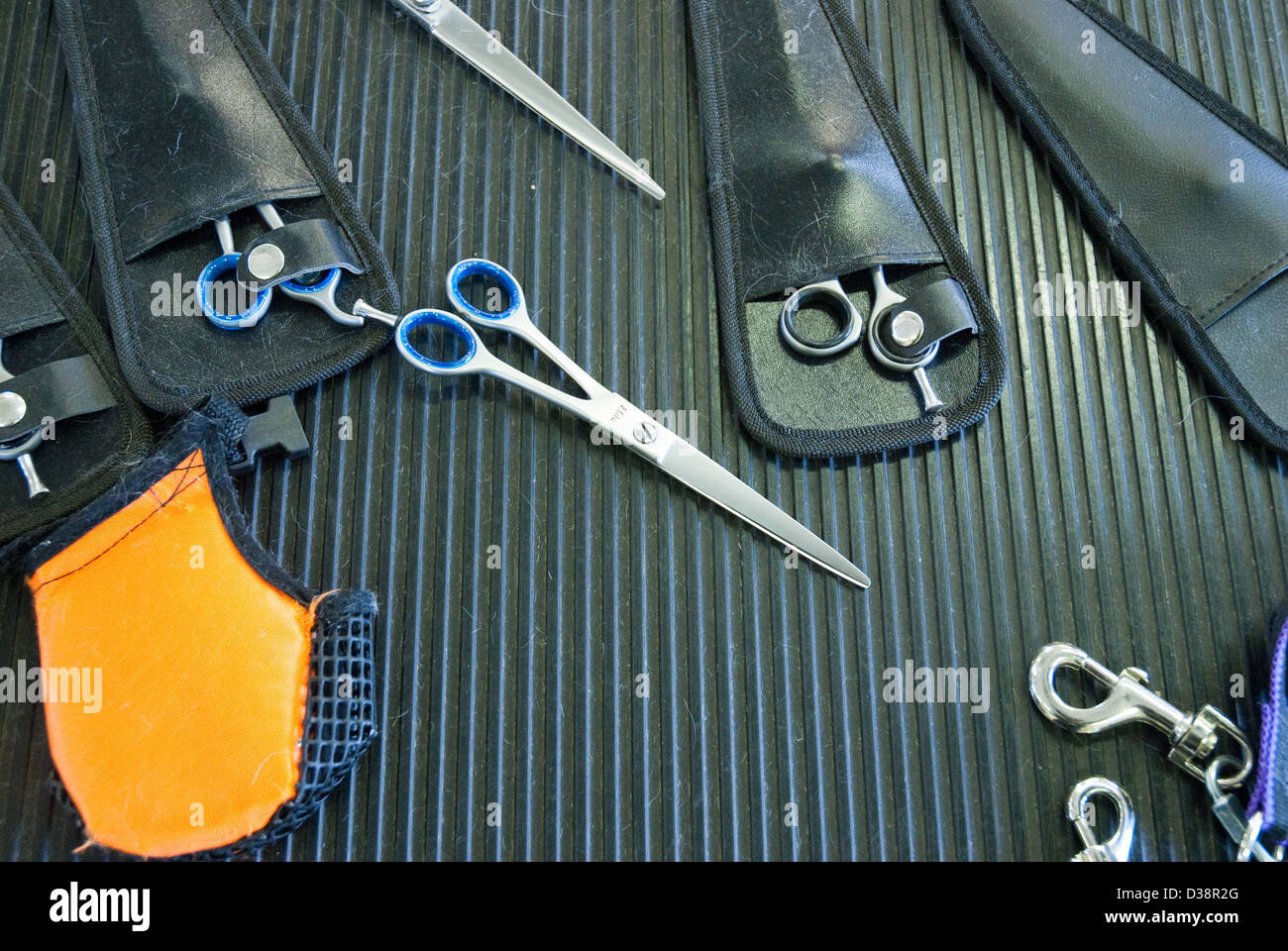 Dogs being groomed in a dog grooming parlour Stock Photo - Alamy