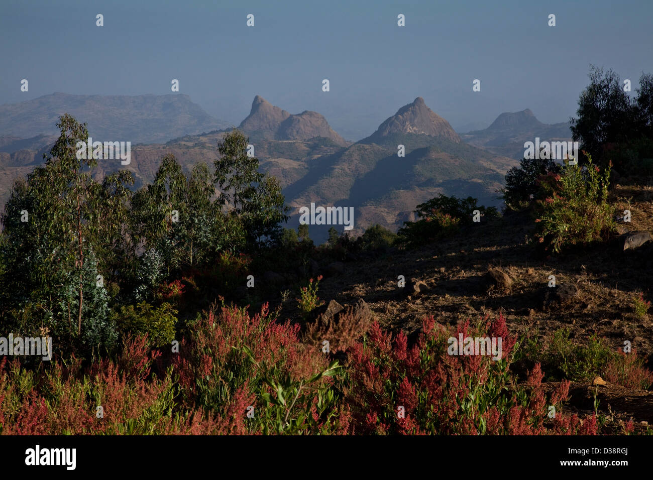 Landscape, Simien Mountains, Ethiopia Stock Photo - Alamy