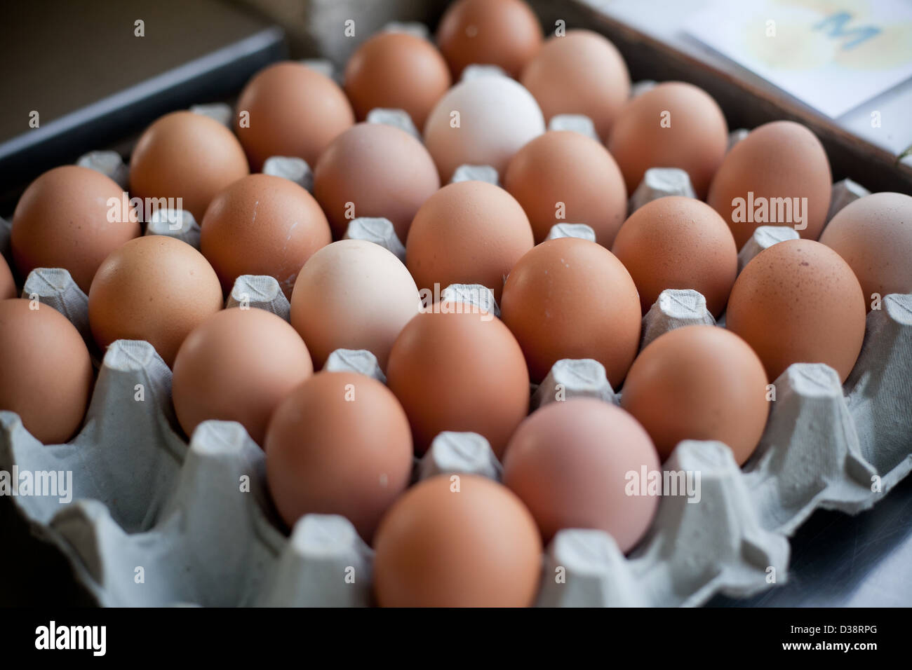 A free-range egg farm in Kent UK Stock Photo - Alamy