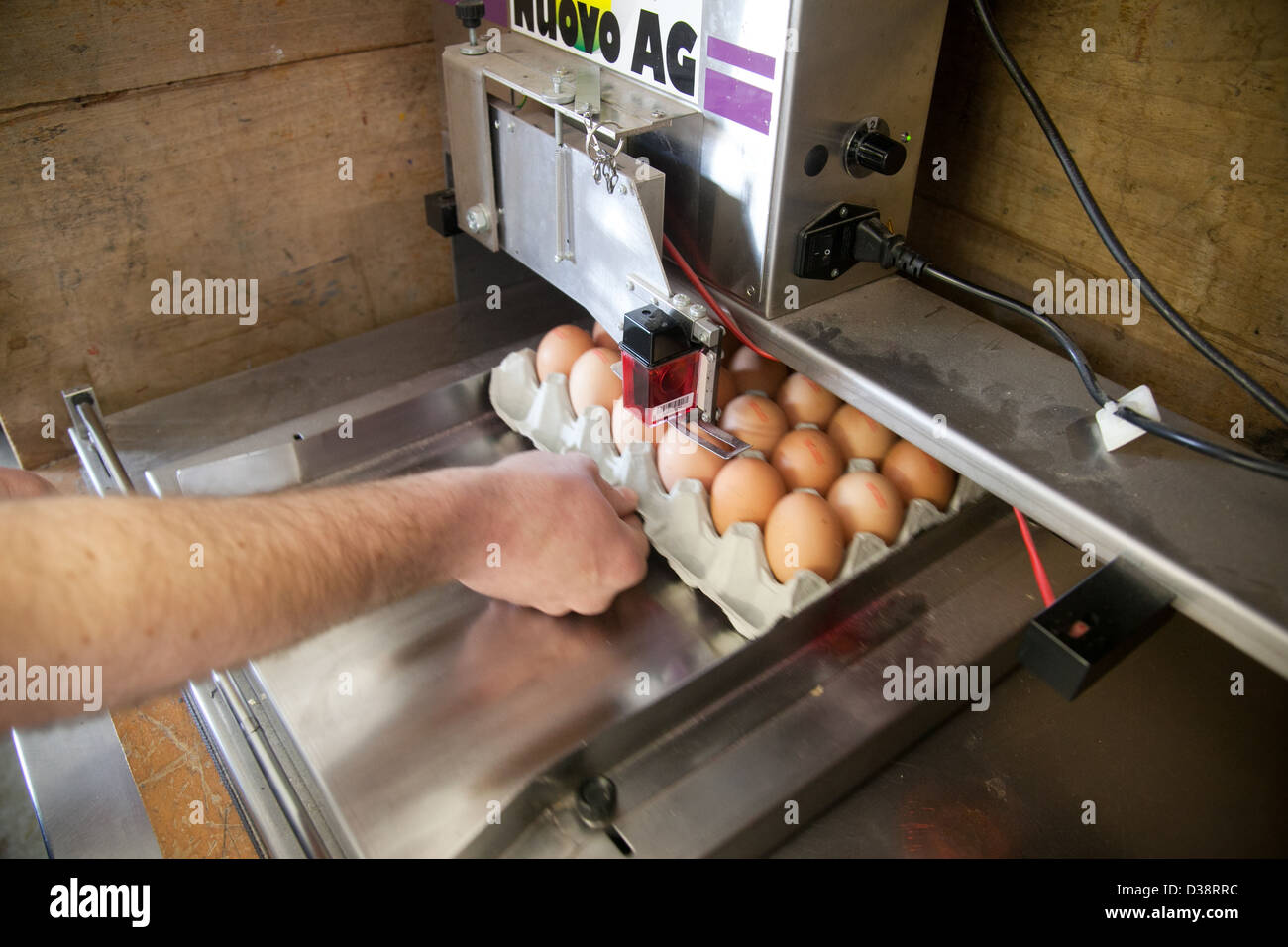 A free-range egg farm in Kent UK Stock Photo - Alamy