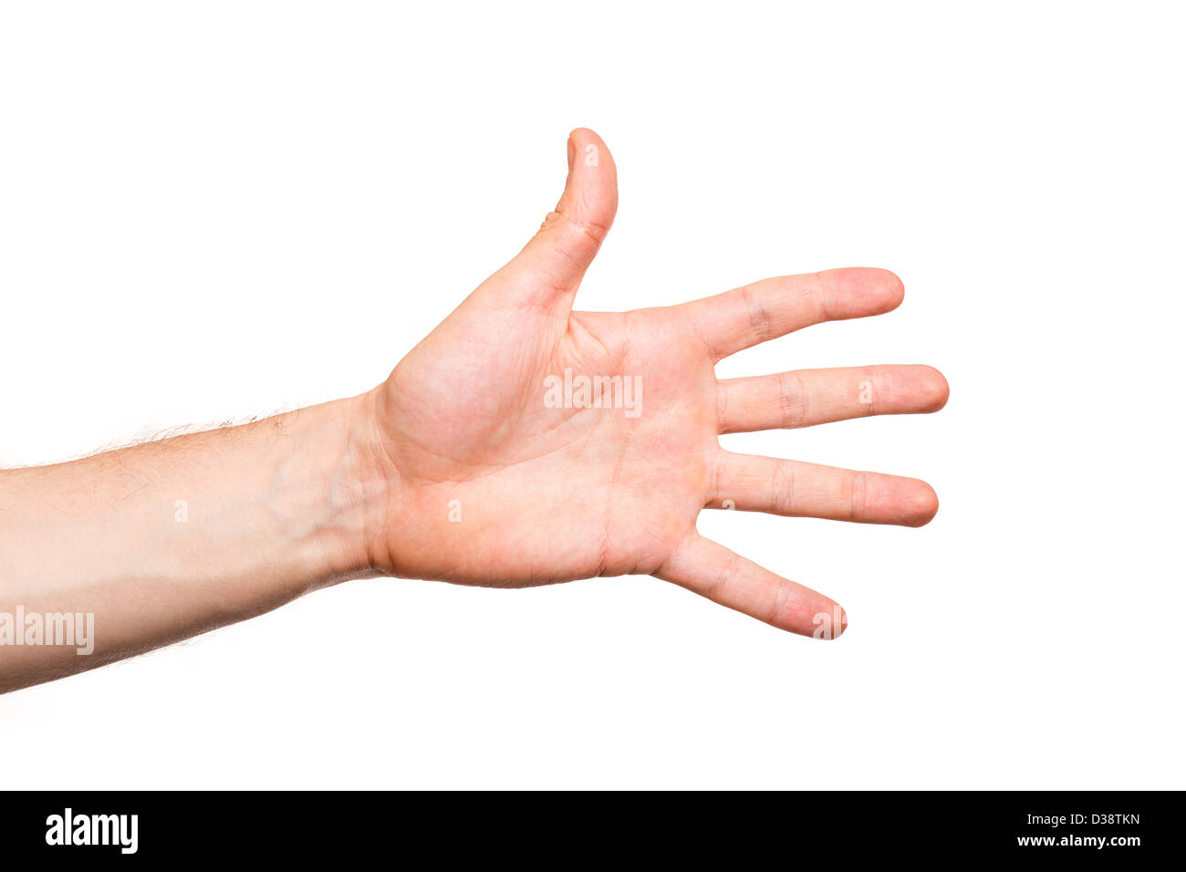 Male hand, finger(s), isolated on white background Stock Photo - Alamy