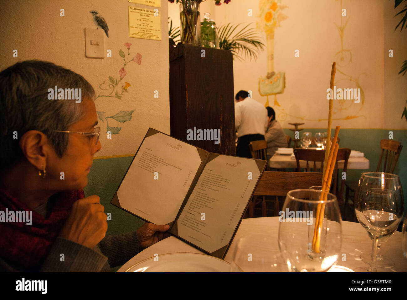 Rosetta Restaurant Woman reading Menu in Roma - Mexico City DF Stock ...
