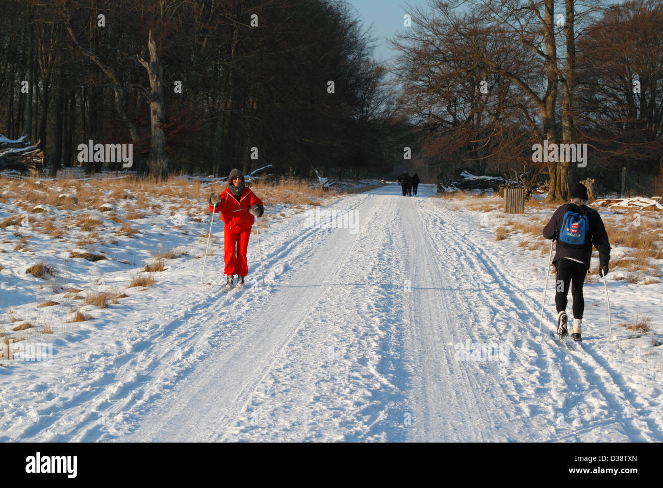 February, Wednesday 13, 2013 – Dyrehaven (The Hermitage) just north of ...