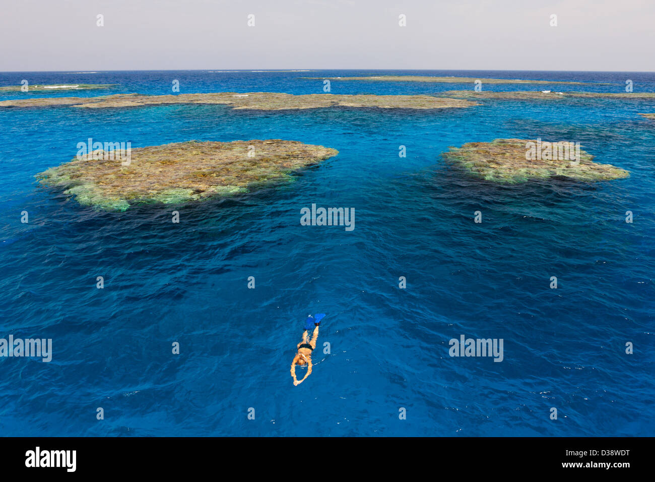 Reefs of Zabargad Island, Red Sea, Egypt Stock Photo - Alamy