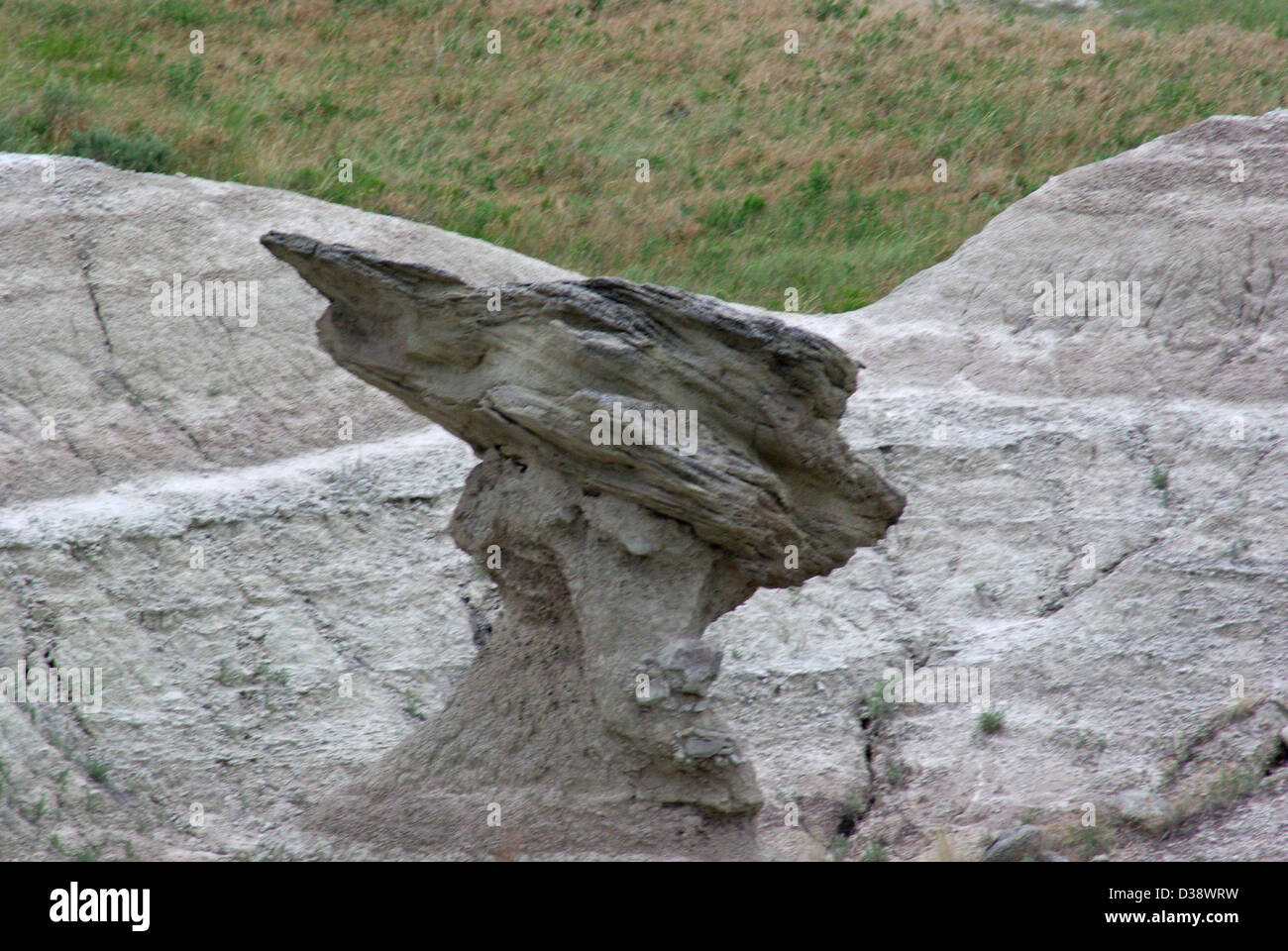Toadstool Hoodoo in Badlands National Park is a unique geological ...