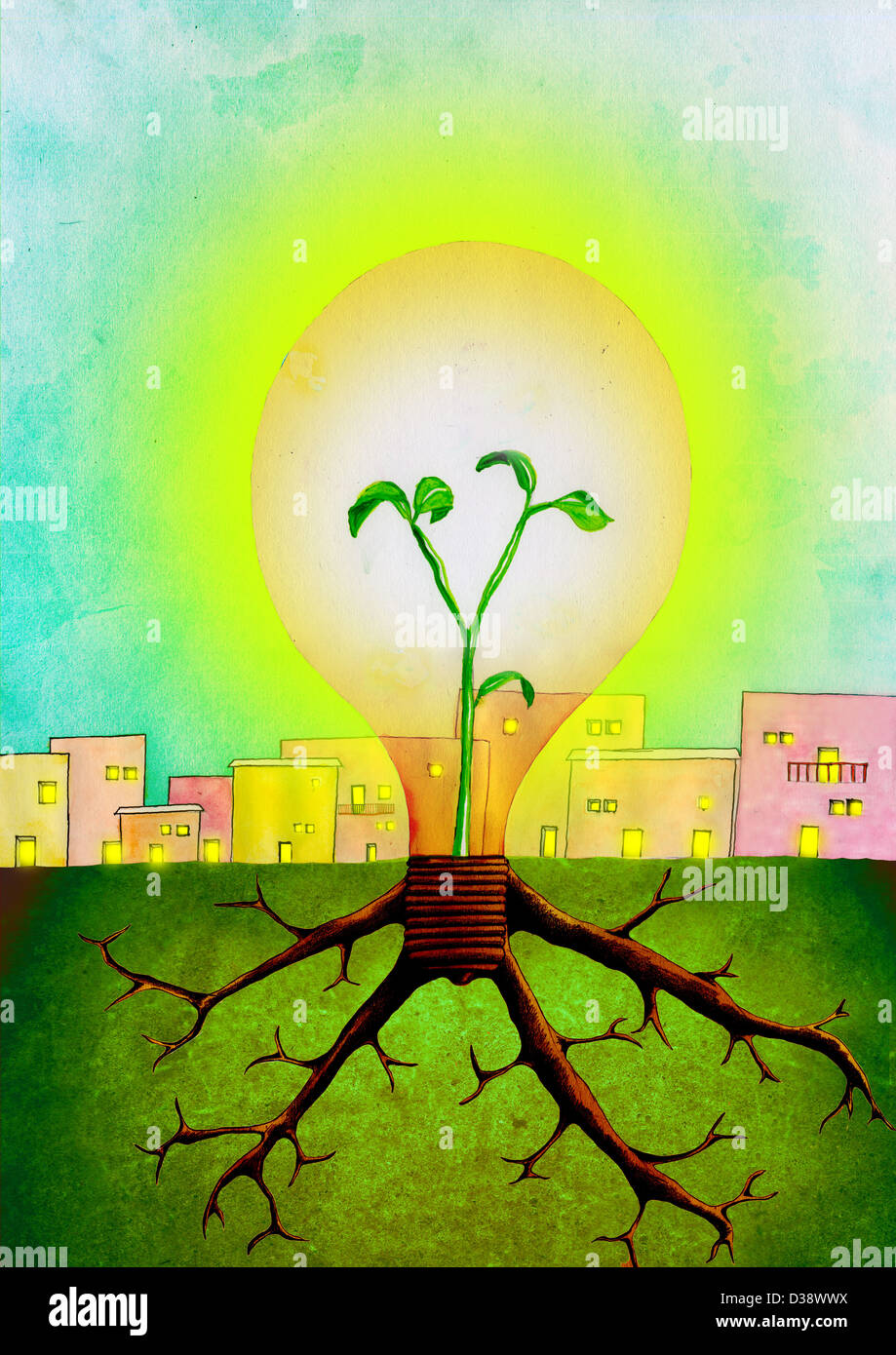 Pencil plant growth hi-res stock photography and images - Alamy