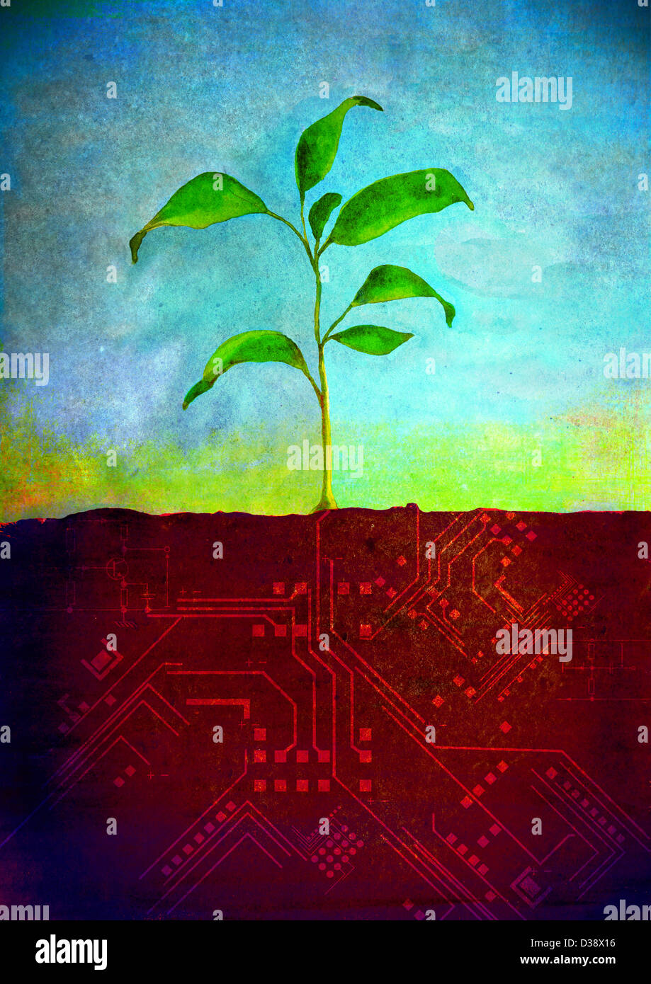 Plant growing on a computer board Stock Photo - Alamy