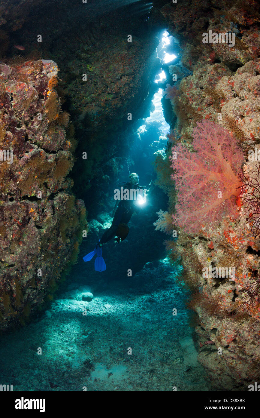 Scuba Diver inside Cave, Cave Reef, Red Sea, Egypt Stock Photo - Alamy
