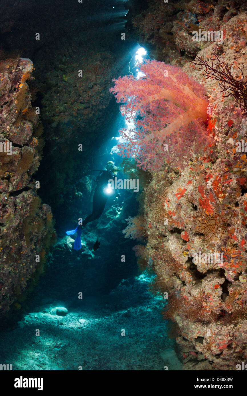 Scuba Diver inside Cave, Cave Reef, Red Sea, Egypt Stock Photo - Alamy
