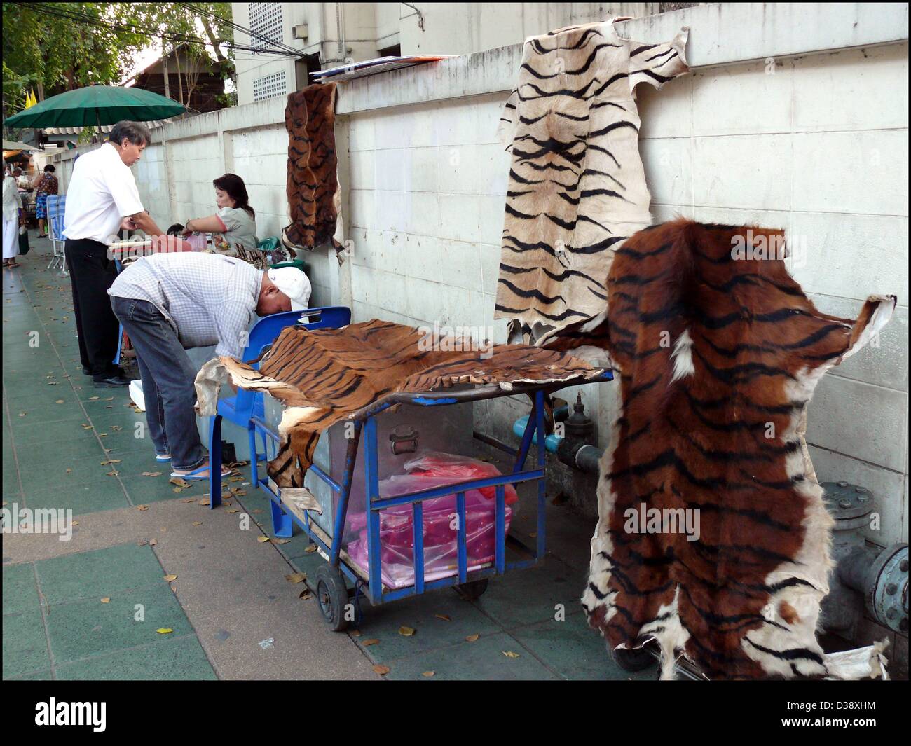 Tiger skins sold hi-res stock photography and images - Alamy