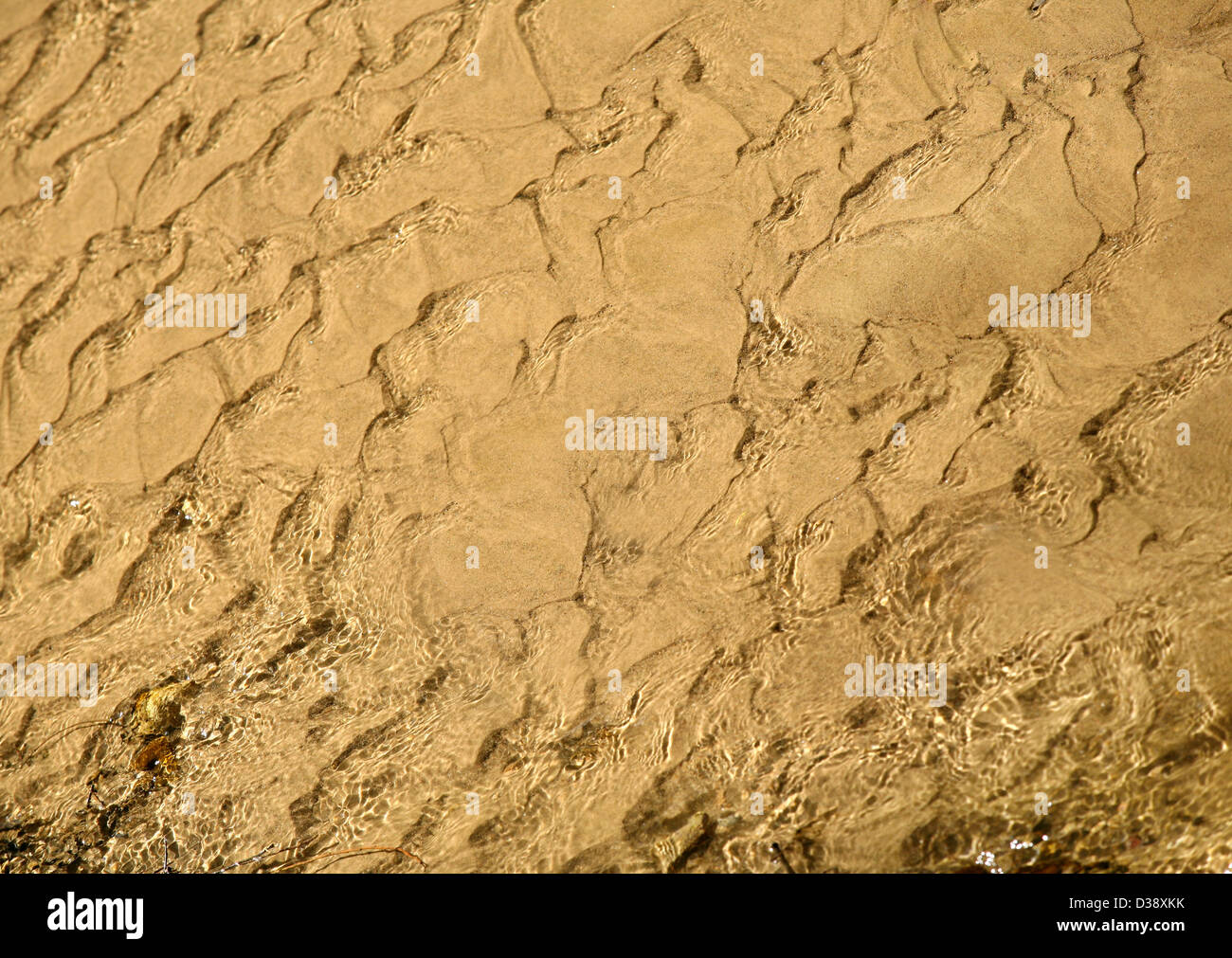 Bottom surfaces hi-res stock photography and images - Alamy