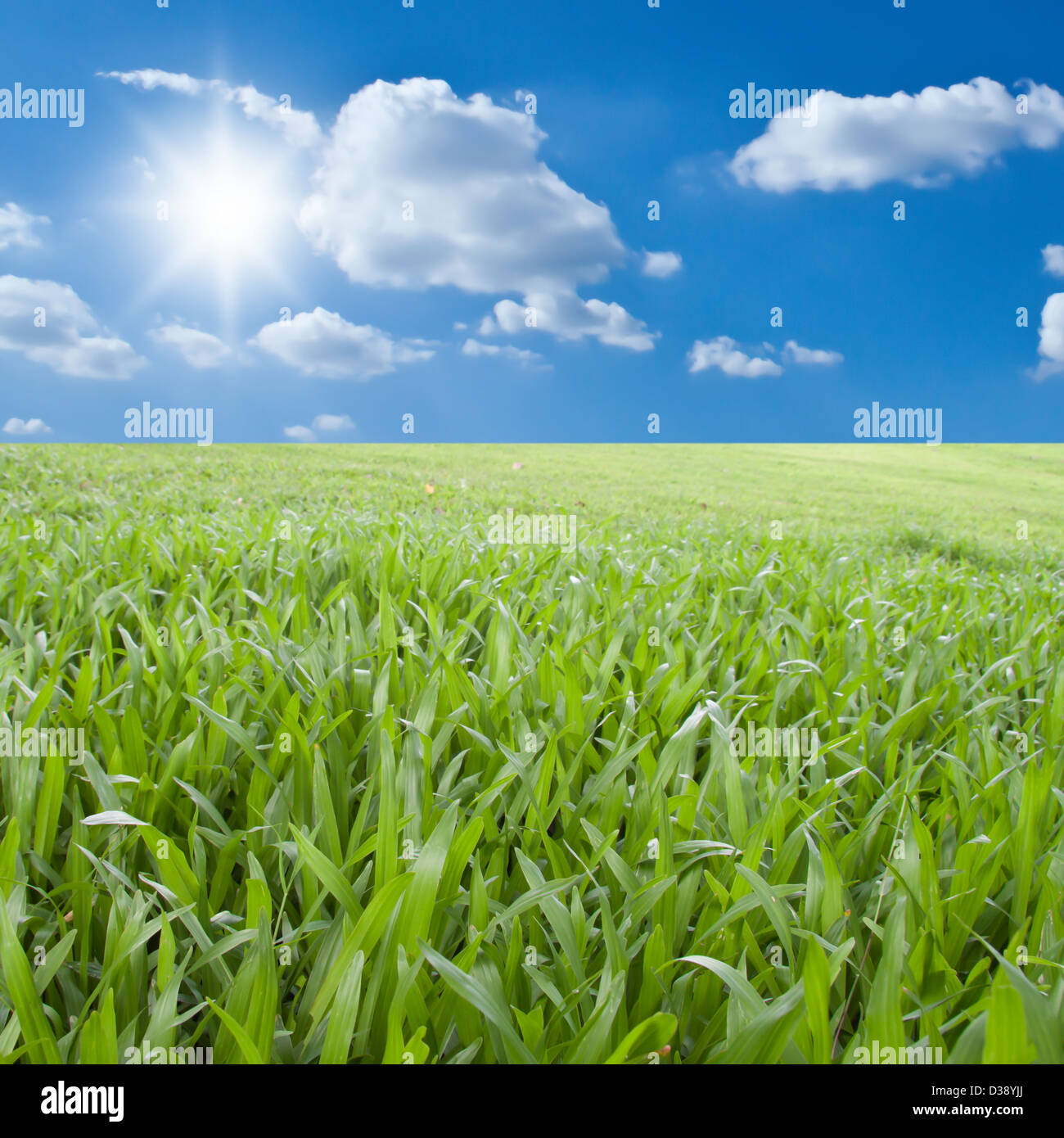 Solar star solar farm hi-res stock photography and images - Alamy