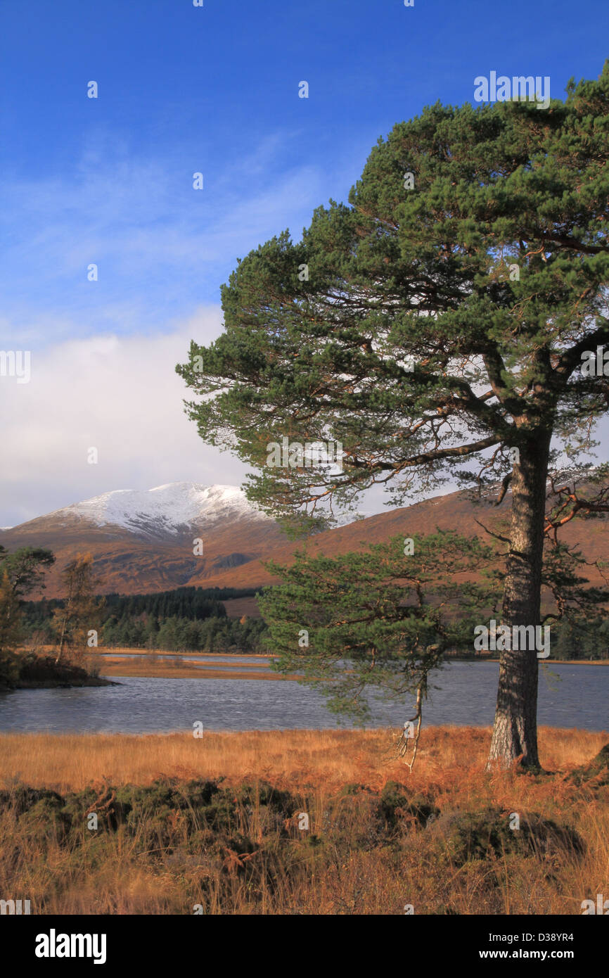 Loch Tulla & The Black Mount, Rannoch Moor, Argyll, Scotland, UK Stock ...