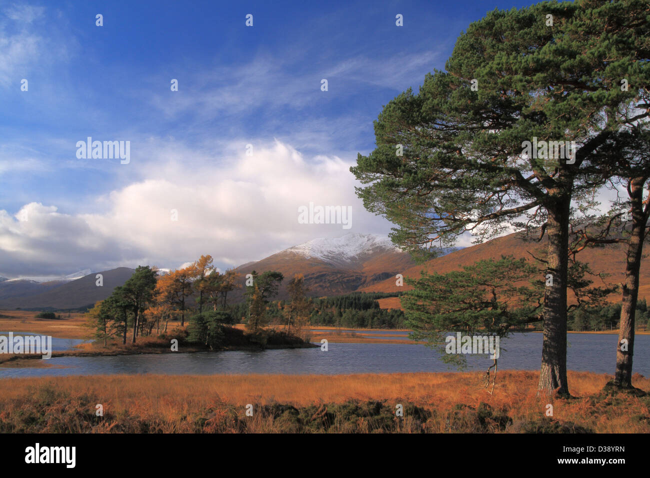 Loch Tulla & The Black Mount, Rannoch Moor, Argyll, Scotland, UK Stock ...