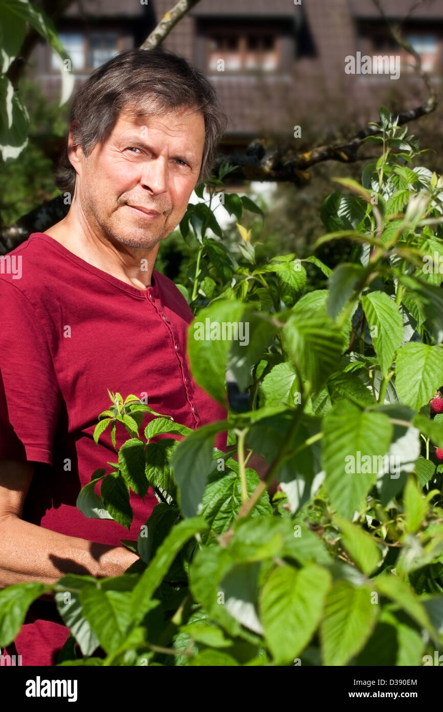 Raspberry plant fence hi-res stock photography and images - Alamy