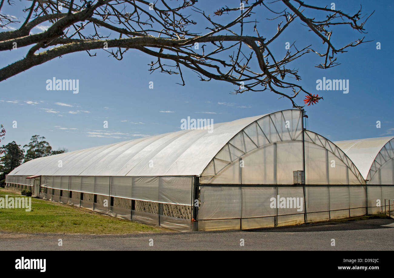 Plastic tunnel hi-res stock photography and images - Alamy