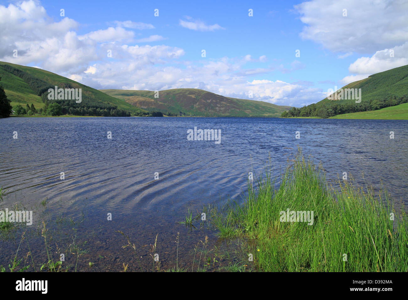 Scotland scottish lochs yarrow valley hi-res stock photography and ...