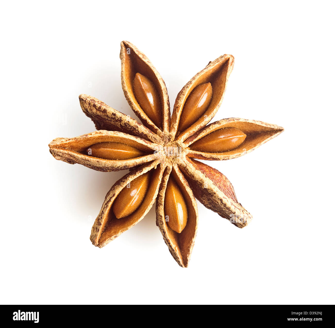anise spice isolated over white background with clipping path included ...