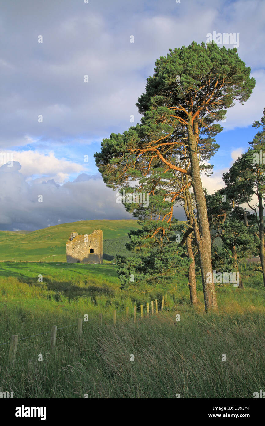 Dryhope Tower, Yarrow Valley, Borders County, Scotland, UK Stock Photo ...