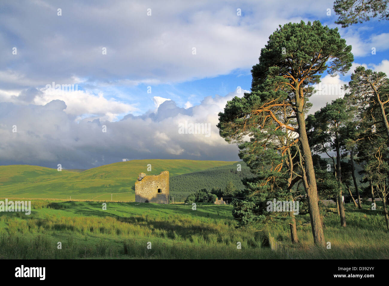 Dryhope Tower, Yarrow Valley, Borders County, Scotland, UK Stock Photo ...