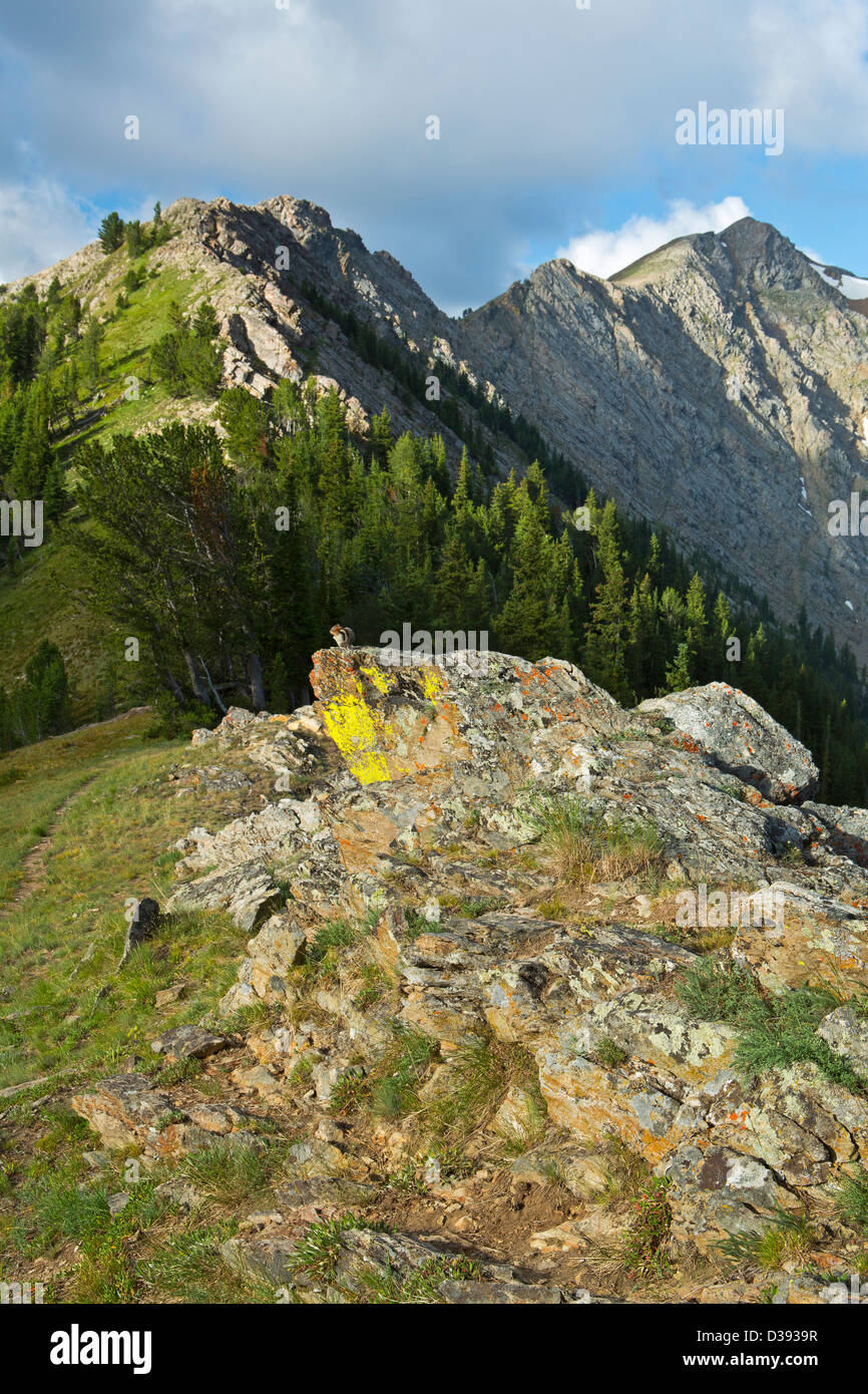 Anaconda pintler scenic montana hi-res stock photography and images - Alamy