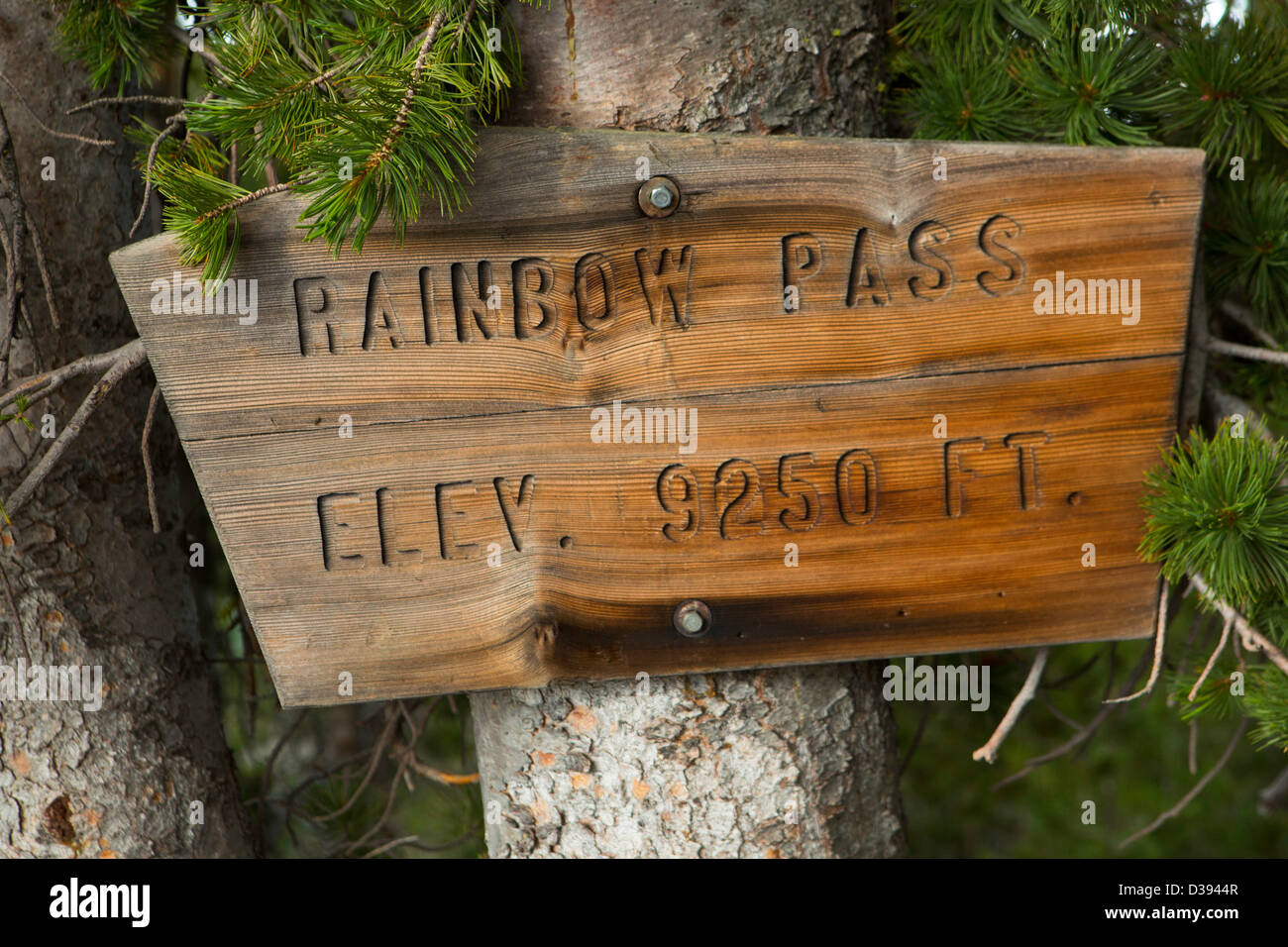 A trail sign at Rainbow Pass in the Anaconda Pintler Wilderness ...