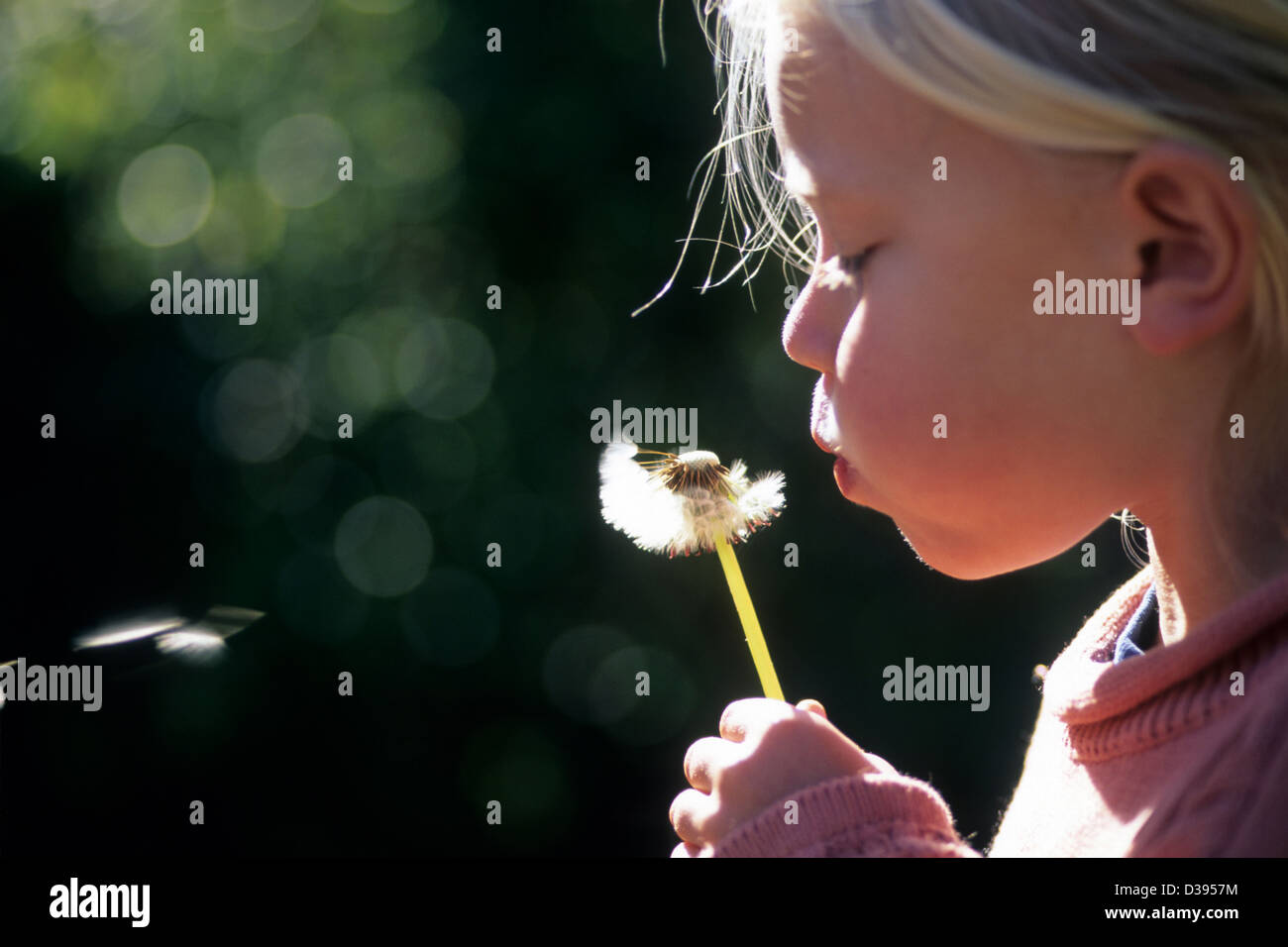Children, child blowing seeds from flower Stock Photo - Alamy