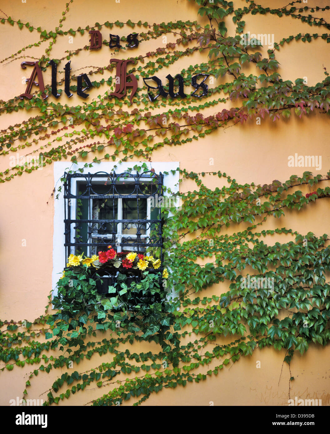 Austria, Vienna, Grinzing, idyllic Grinzing wine tavern Stock Photo - Alamy