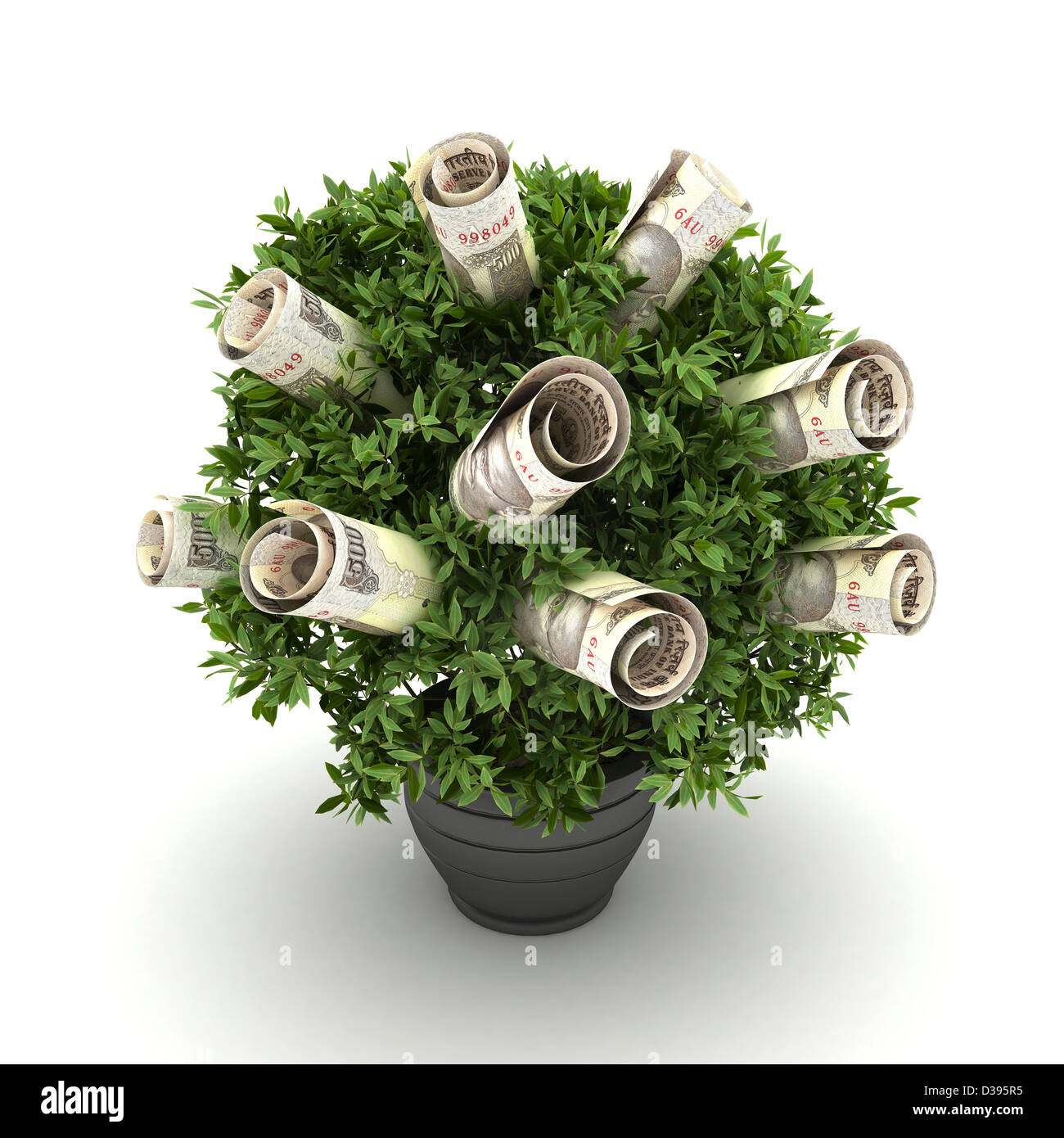 Indian paper tree hi-res stock photography and images - Alamy