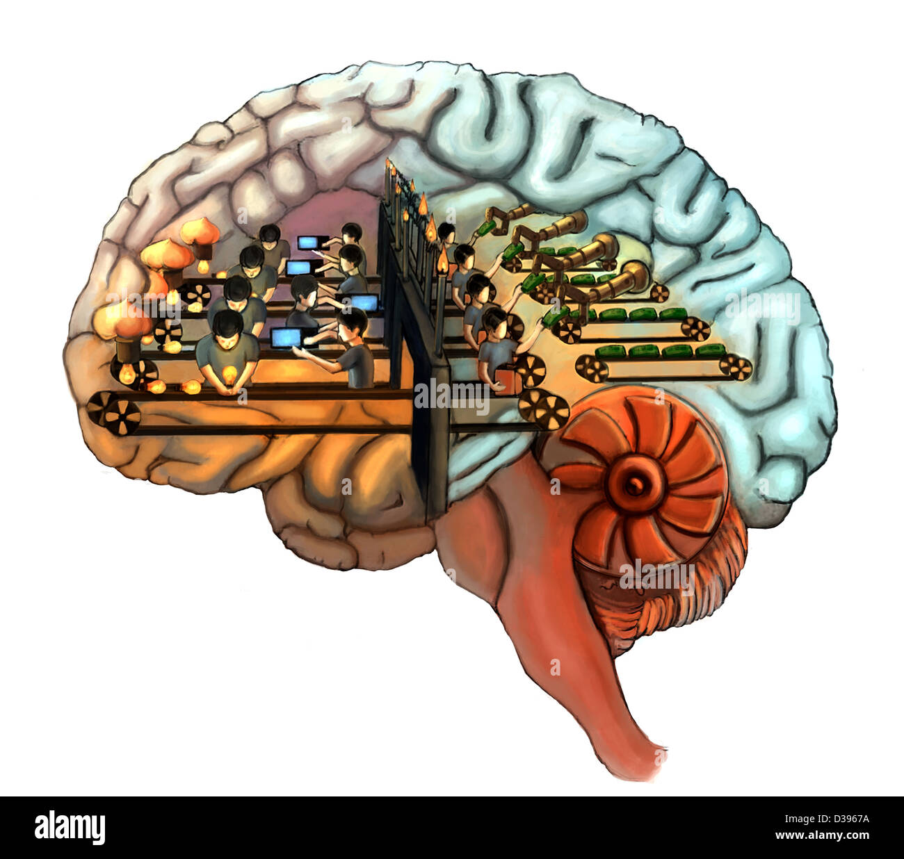 Group of people working in human brain Stock Photo - Alamy