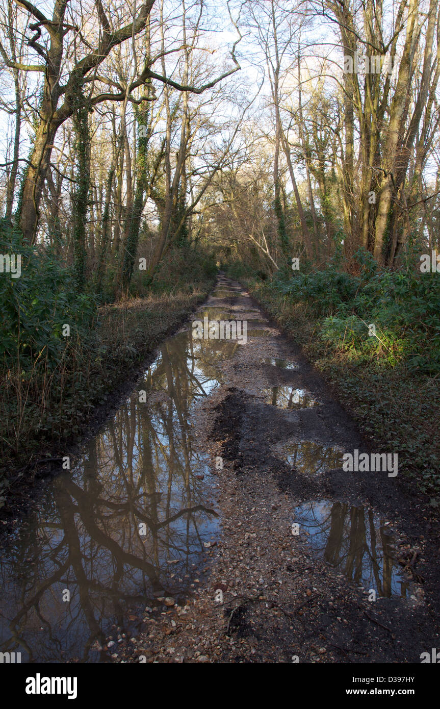 English countryside. A quiet country lane cuts a straight path through ...