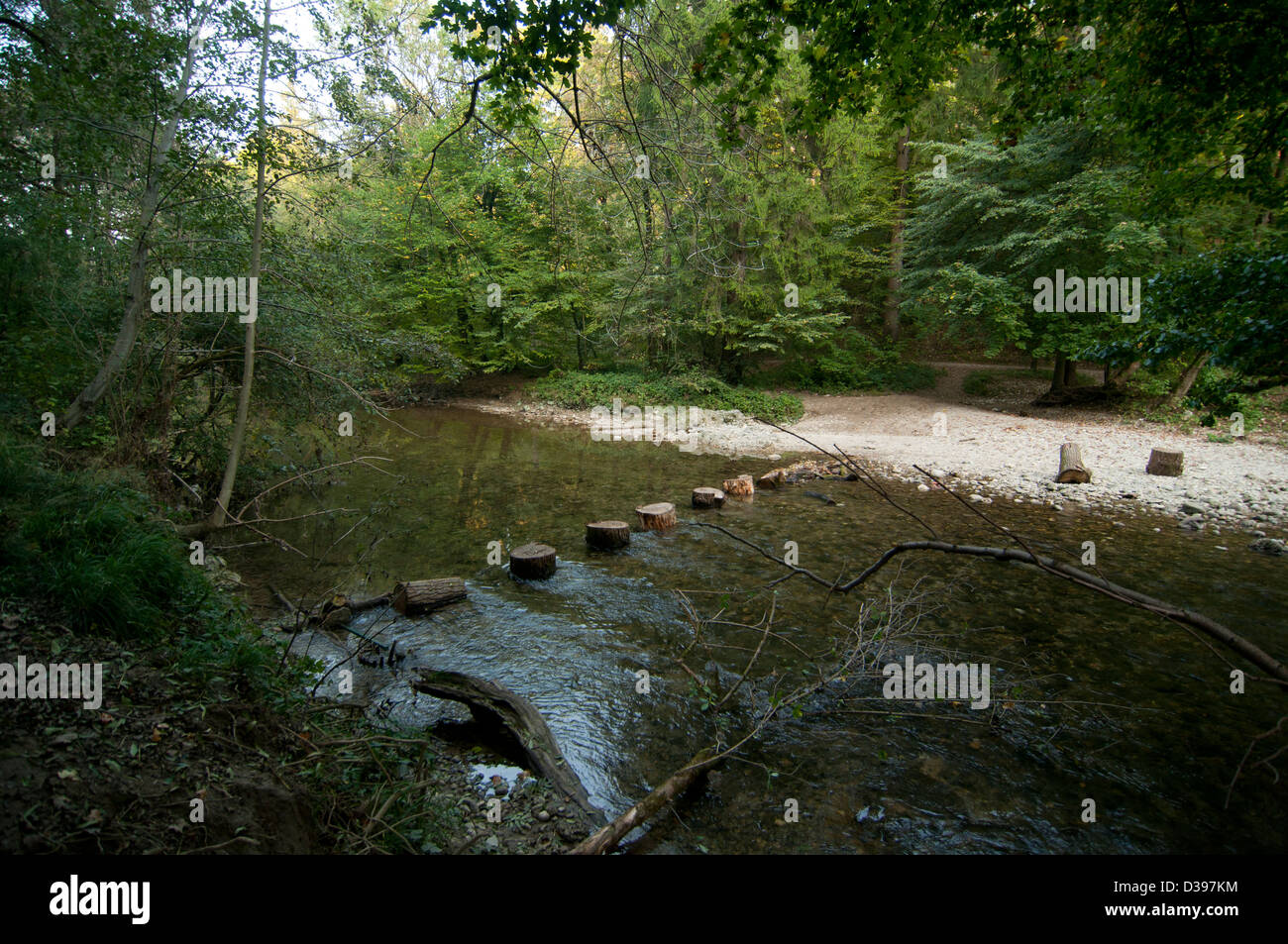 Kokra River Gorge Stock Photo - Alamy