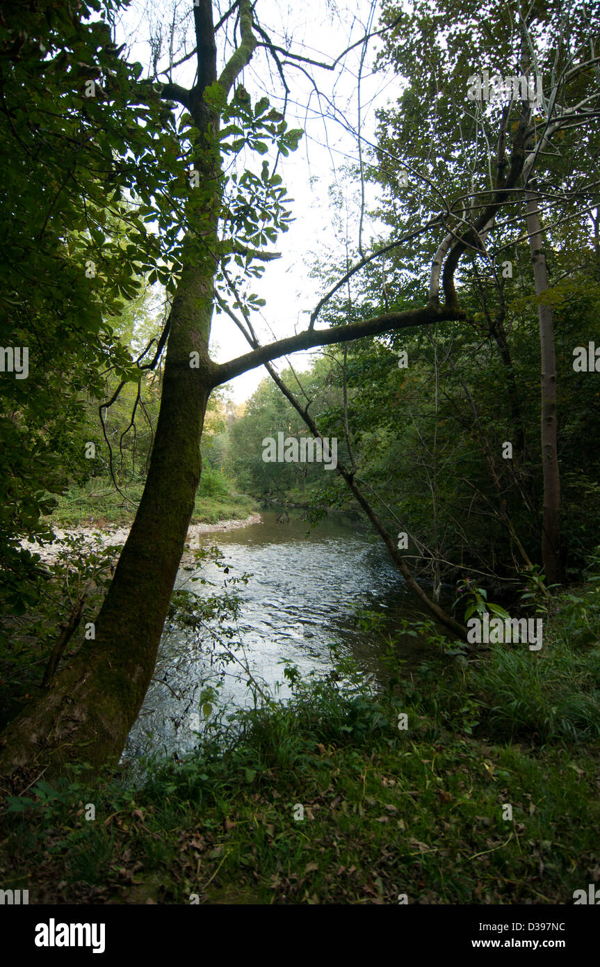 Kokra River Gorge Stock Photo - Alamy